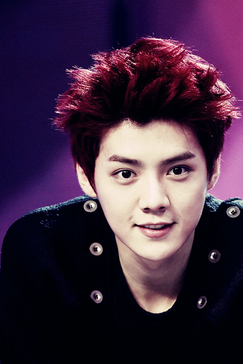 KPOP EMPIRE: EXO's Member Ideal Type