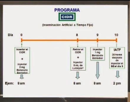 Tuwün Capacitaciones EIRL: Protocolo IATF