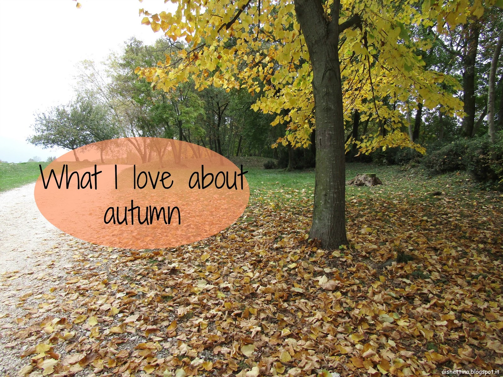 What I love about autumn - Aishettina