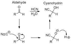 Chemistry: Cyanide ion attacking aldehydes and ketones