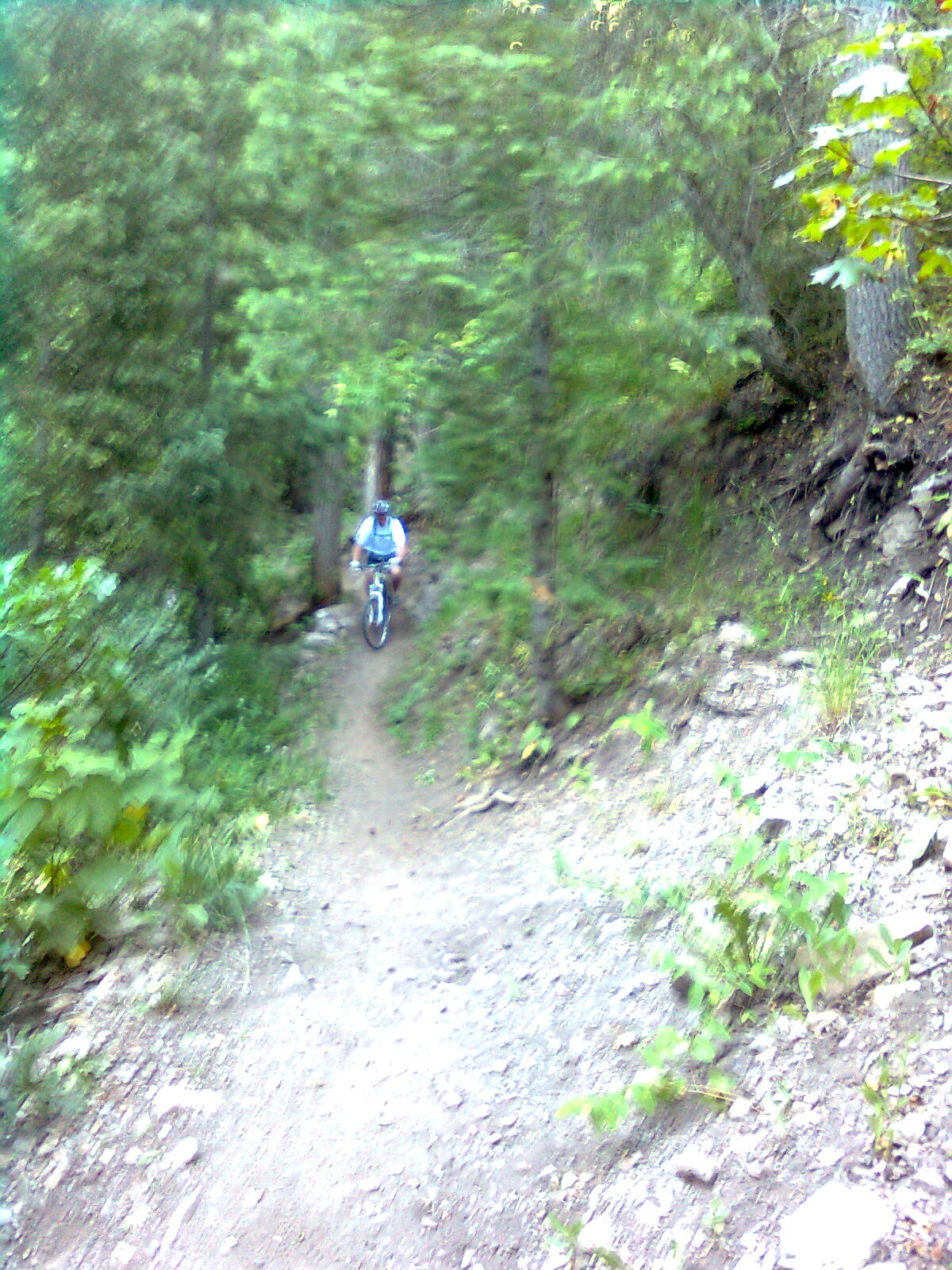 Rocky Mountain Biking: Snowbasin Sampler: Wheeler, East Fork, Maples ...