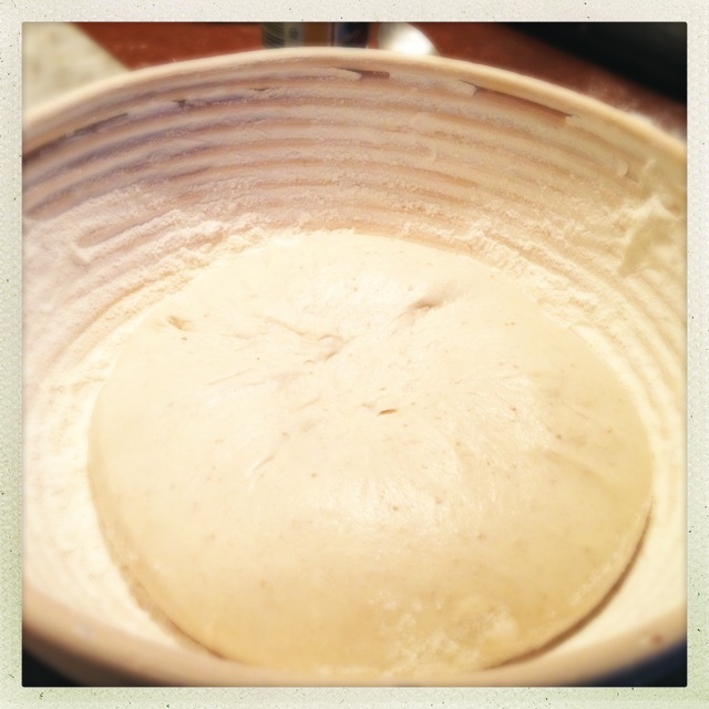 Upper Valley Sourdough Boule: The Ultimate Holiday Starter Gift...Literally