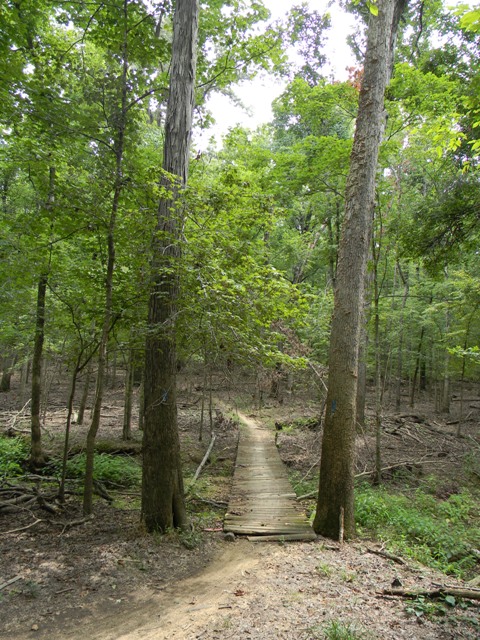My Own 100 Hikes: Hike 2011.055 -- Canal Loop Trails, Land Between the ...