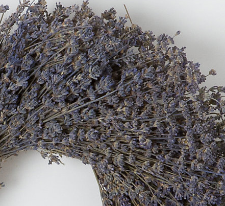 Shimmering Gold Fields