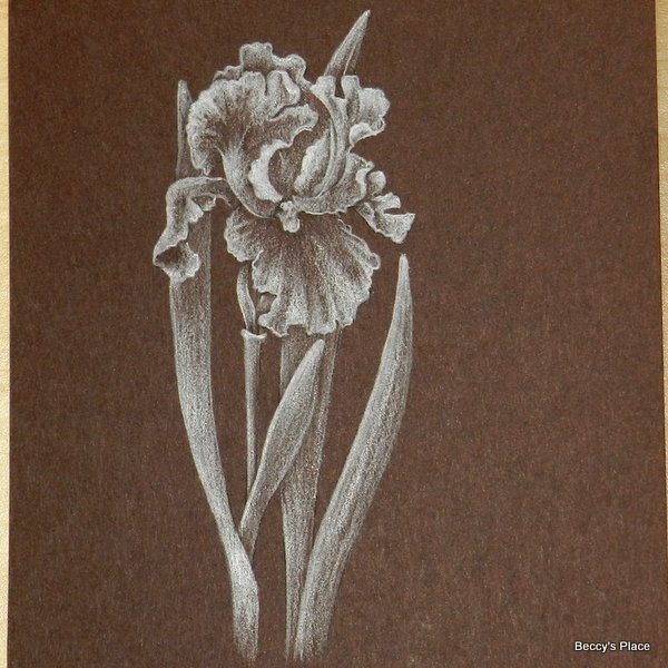 Beccy's Place: Negative Colouring