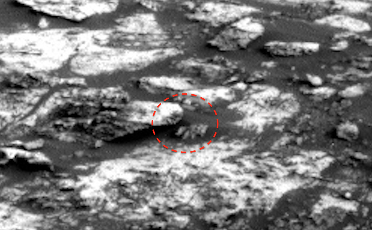 UFO SIGHTINGS DAILY: Fossilised Crab Found On Mars Near Fallen Statue ...