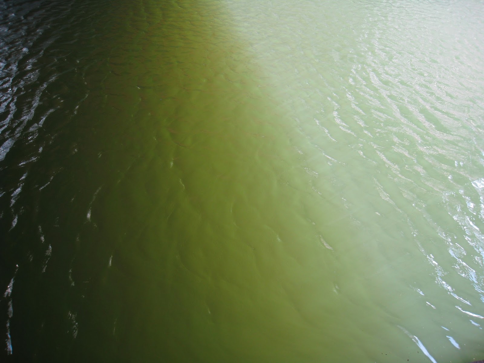 Lila Prime: The texture of water