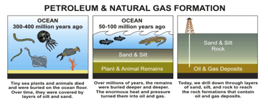 Organic Chemistry In Our Daily Life: PETROLEUM AS THE PRODUCT OF ...