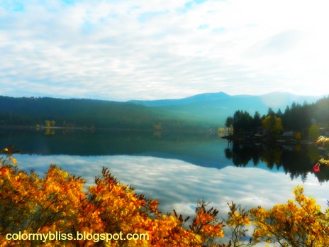 Color My Bliss: My New Friend