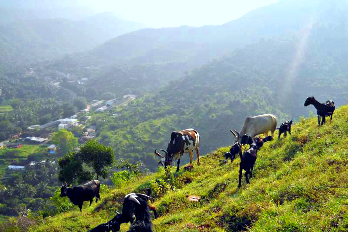 ATTAPPADY A BEAUTIFUL VIEW HIL TOP OF AGALI - Photo Gallexy | Beautiful ...
