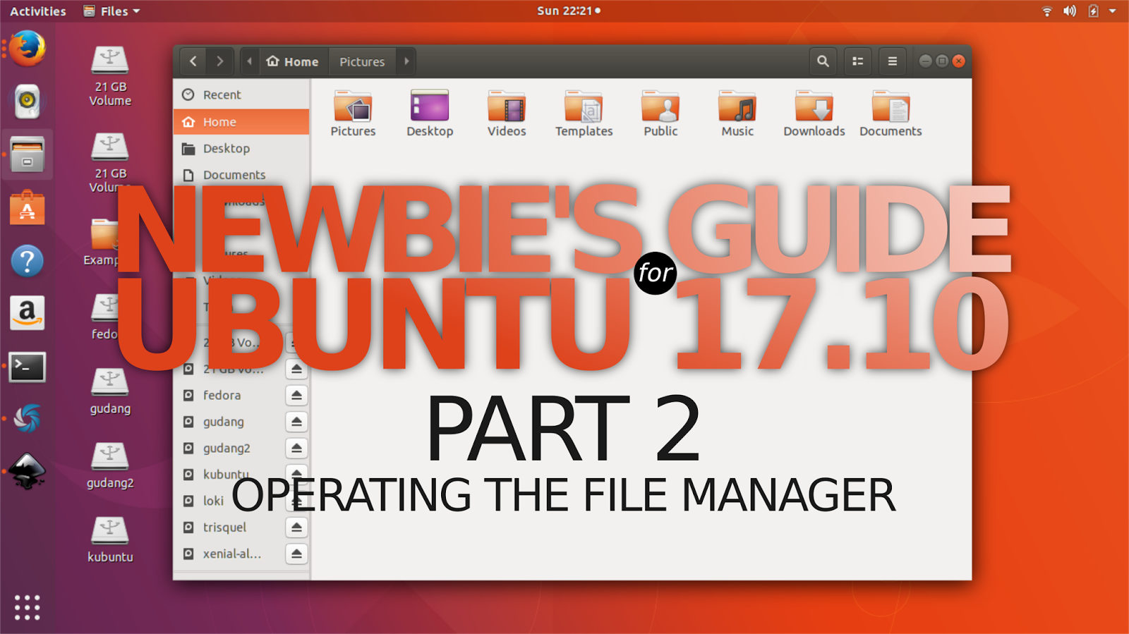 Newbie's Guide to Ubuntu 17.10 Part 2