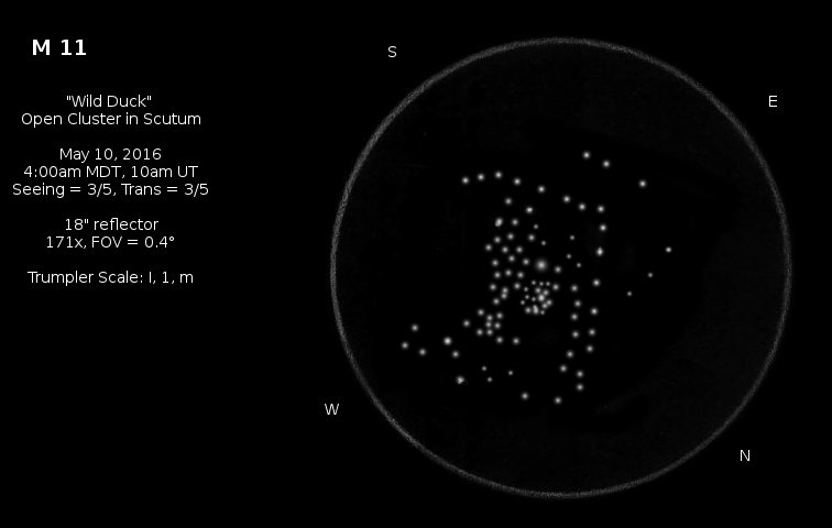 Messier M11 wild duck cluster