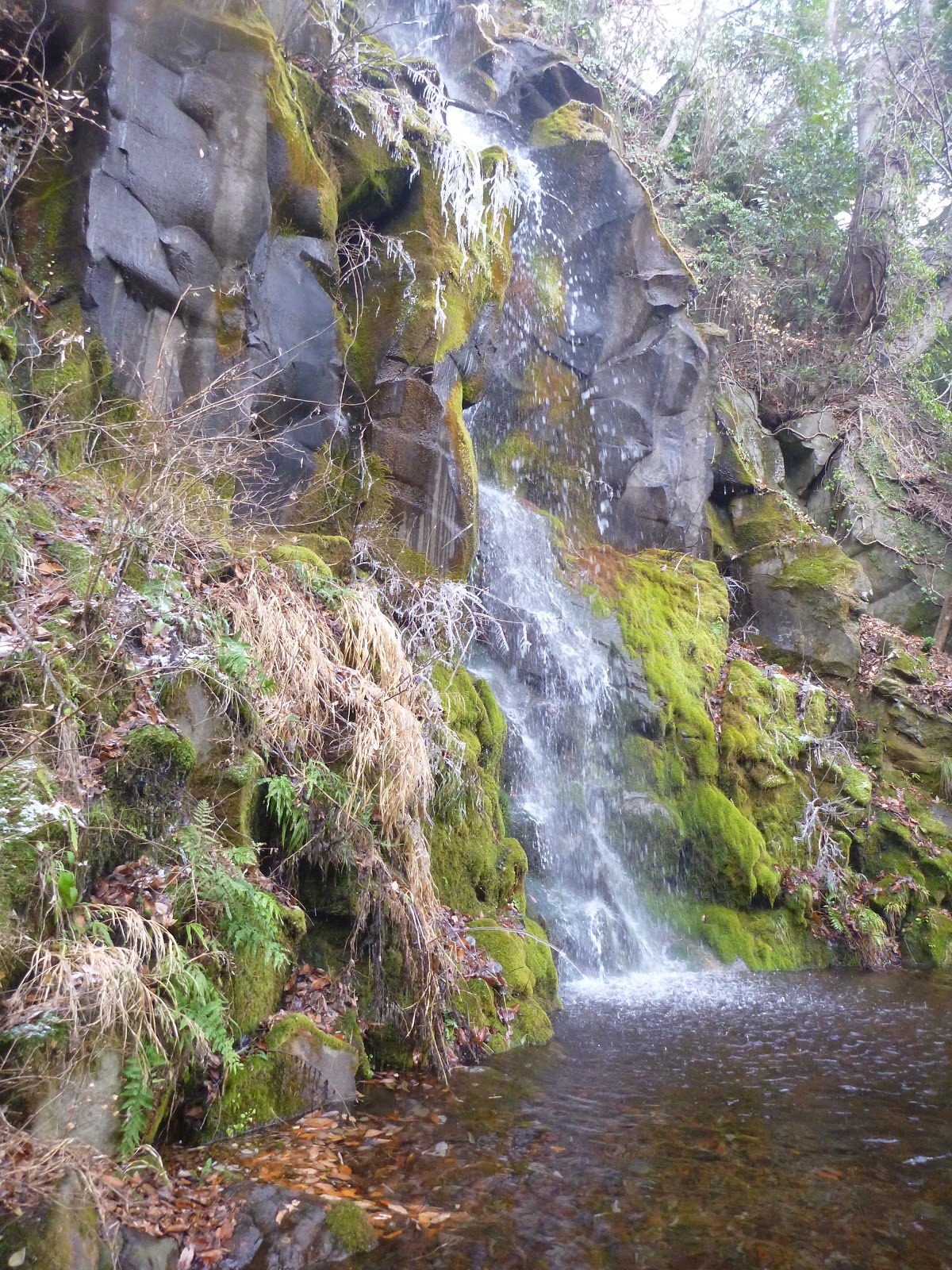 Living in the Land of the Rising Sun: Hakone Kowakien Yunessun Hot ...