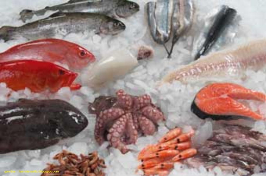 PERIKANAN NUSANTARA: Pengawetan Ikan Dengan Suhu Rendah : Pendinginan