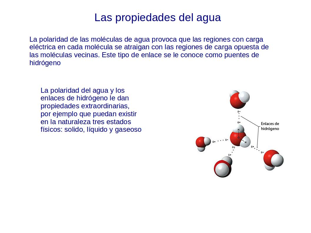 Café y Biología: Lección 2 Propiedades del agua
