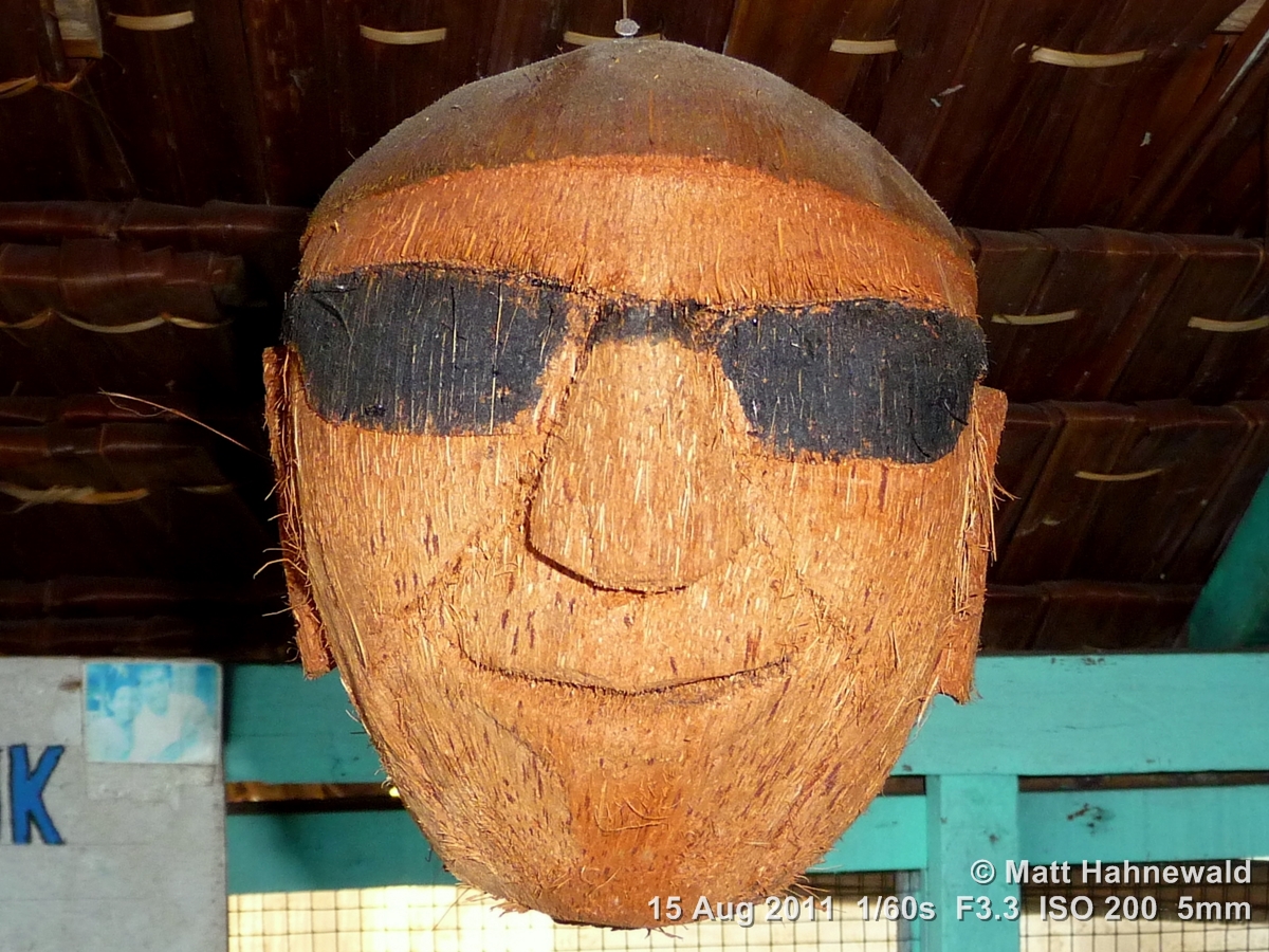 Facing the World: Profiling Coconuts on Sulawesi