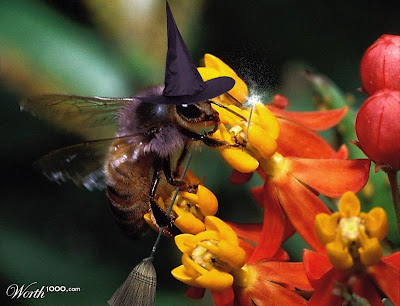 She Who Seeks: Sacred Bees of the Goddess, Part 1