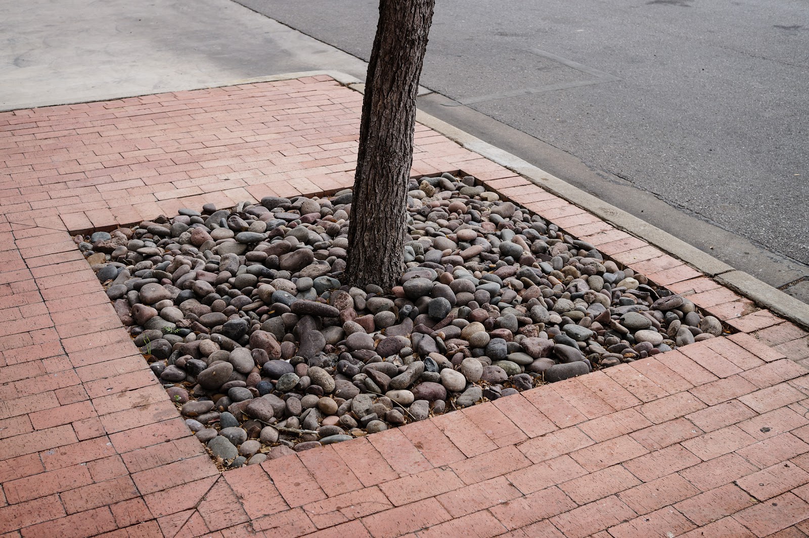 The Visual Science Lab / Kirk Tuck: Let the Nex 6 episodic review begin