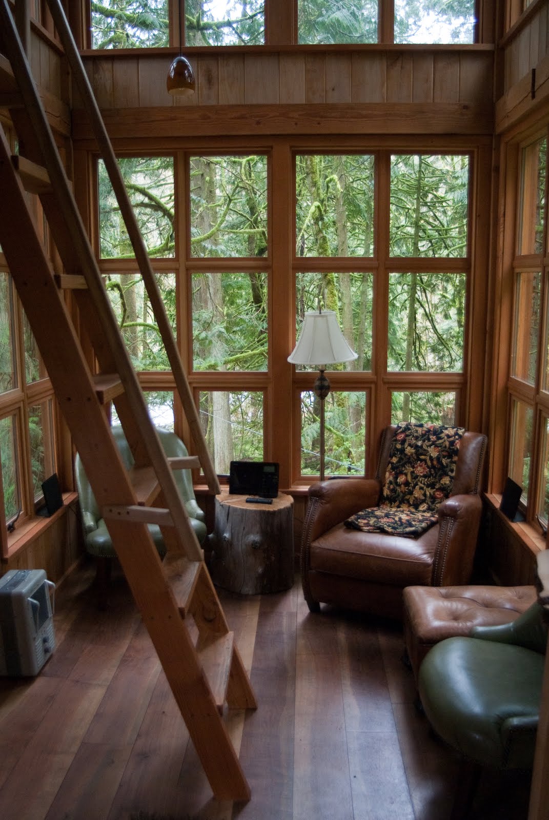 This is something I saw once.: Treehouse Point Weekend, Fall City