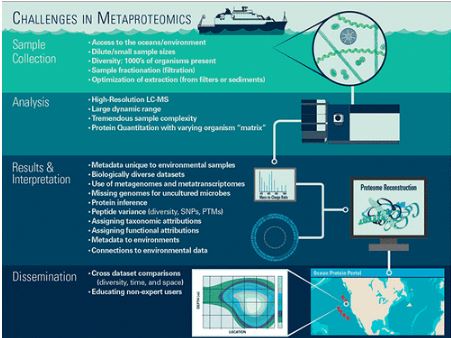 News in Proteomics Research: Best practices for MetaProteomics ...