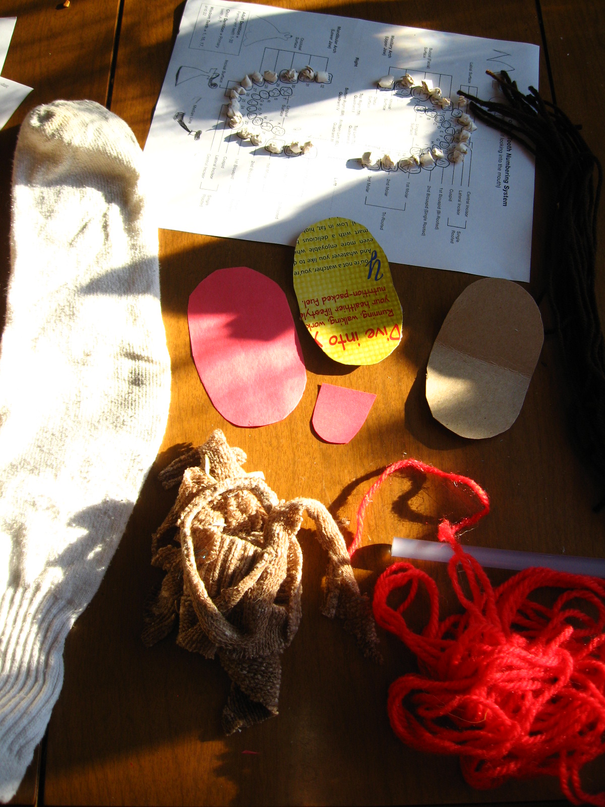 How To Make A Digestive System Model Using Recycled Materials