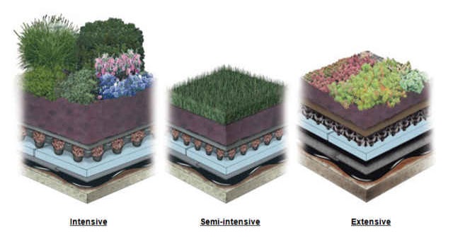 Green Roofs