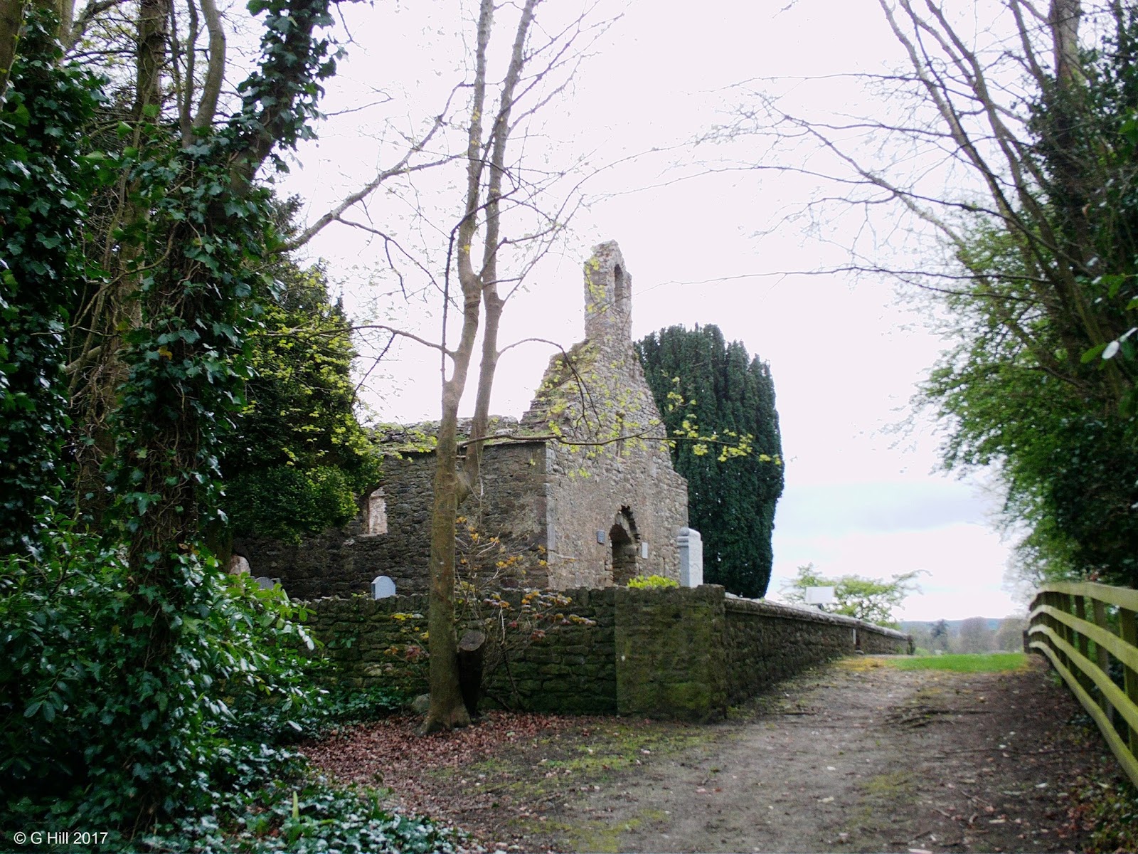 Ireland In Ruins: Old Kilfane Church Co Kilkenny