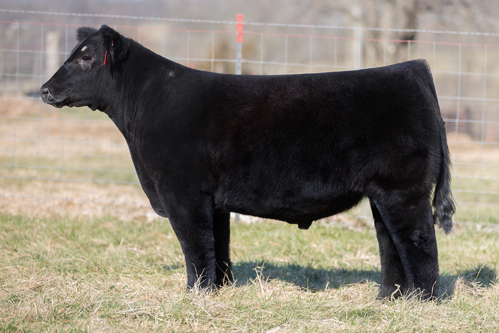 RCC Blog: Fu Man Chu x Ice Bucket and Fu Man Chu x Strictly Business ...