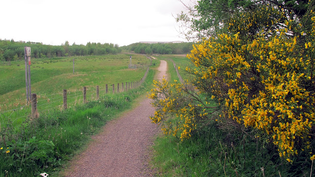 Two Wheels and a Camera: Biddulph Valley Way