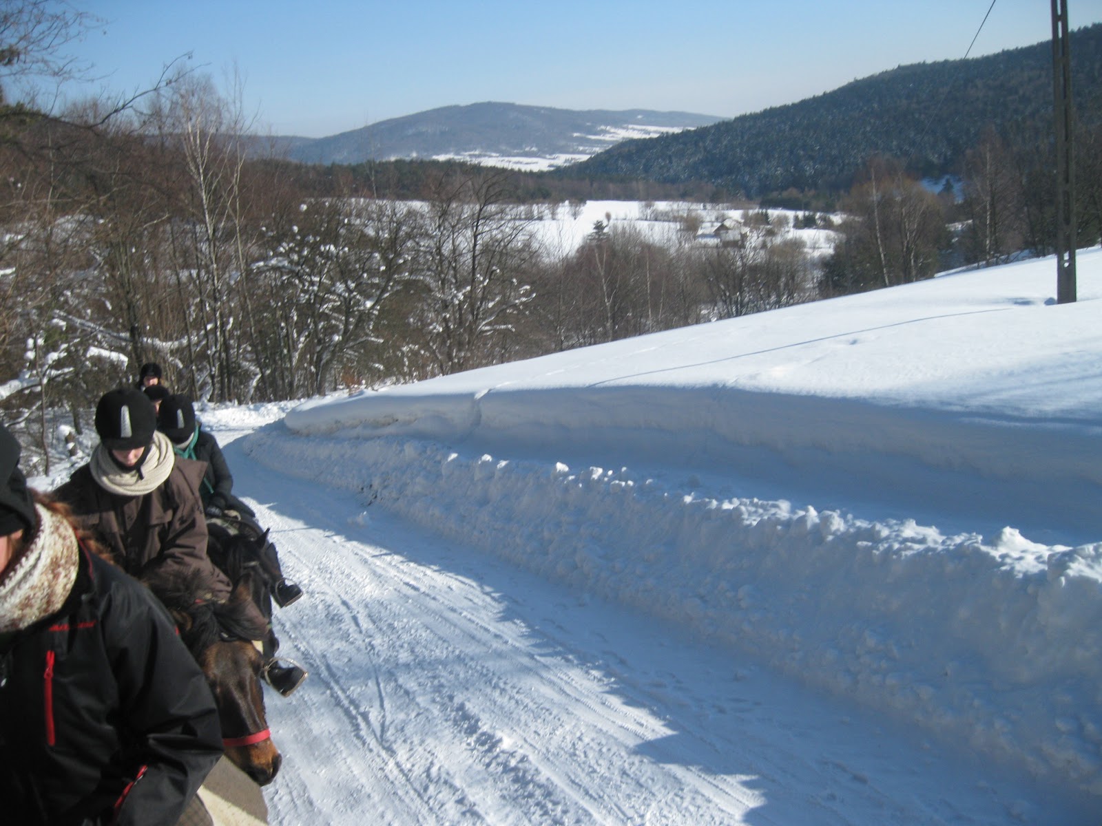 gdzieś w górach...ja...: ...konie...zima....jazda...