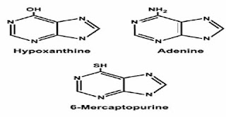 6-MERCAPTOPURINE