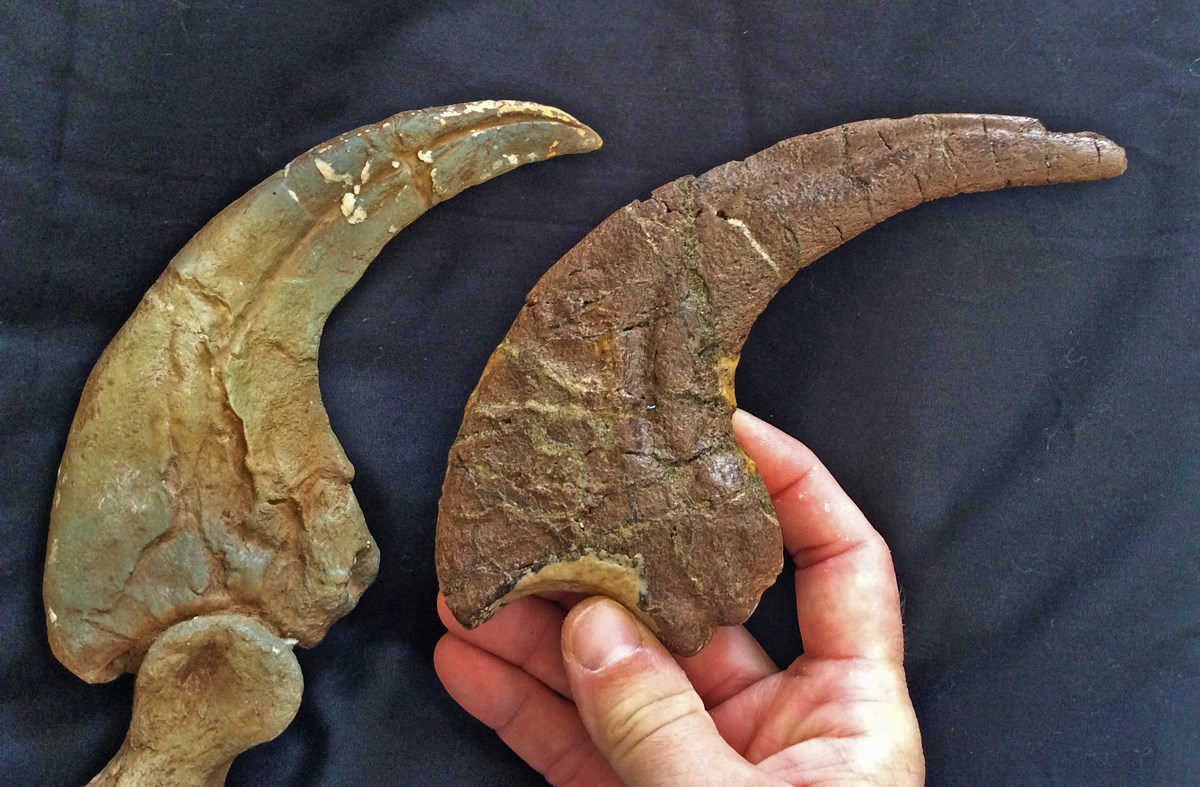 Palaeos, la historia de la Vida en la Tierra: noviembre 2015