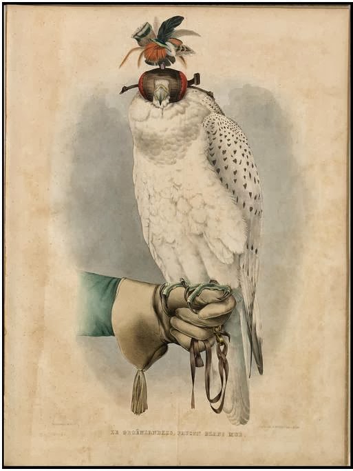 facsimilium: Falconry
