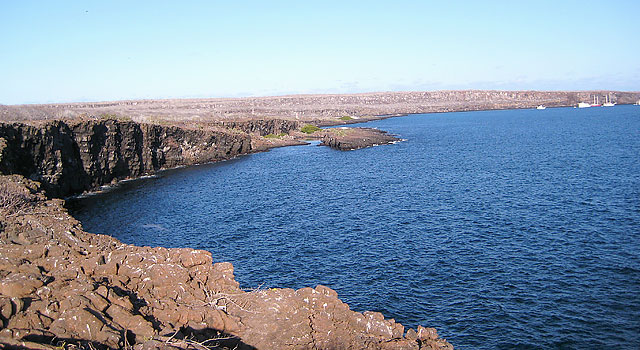 Genovesa (Tower) Island Visitor Sites - Galápagos Eco Friendly: The Blog