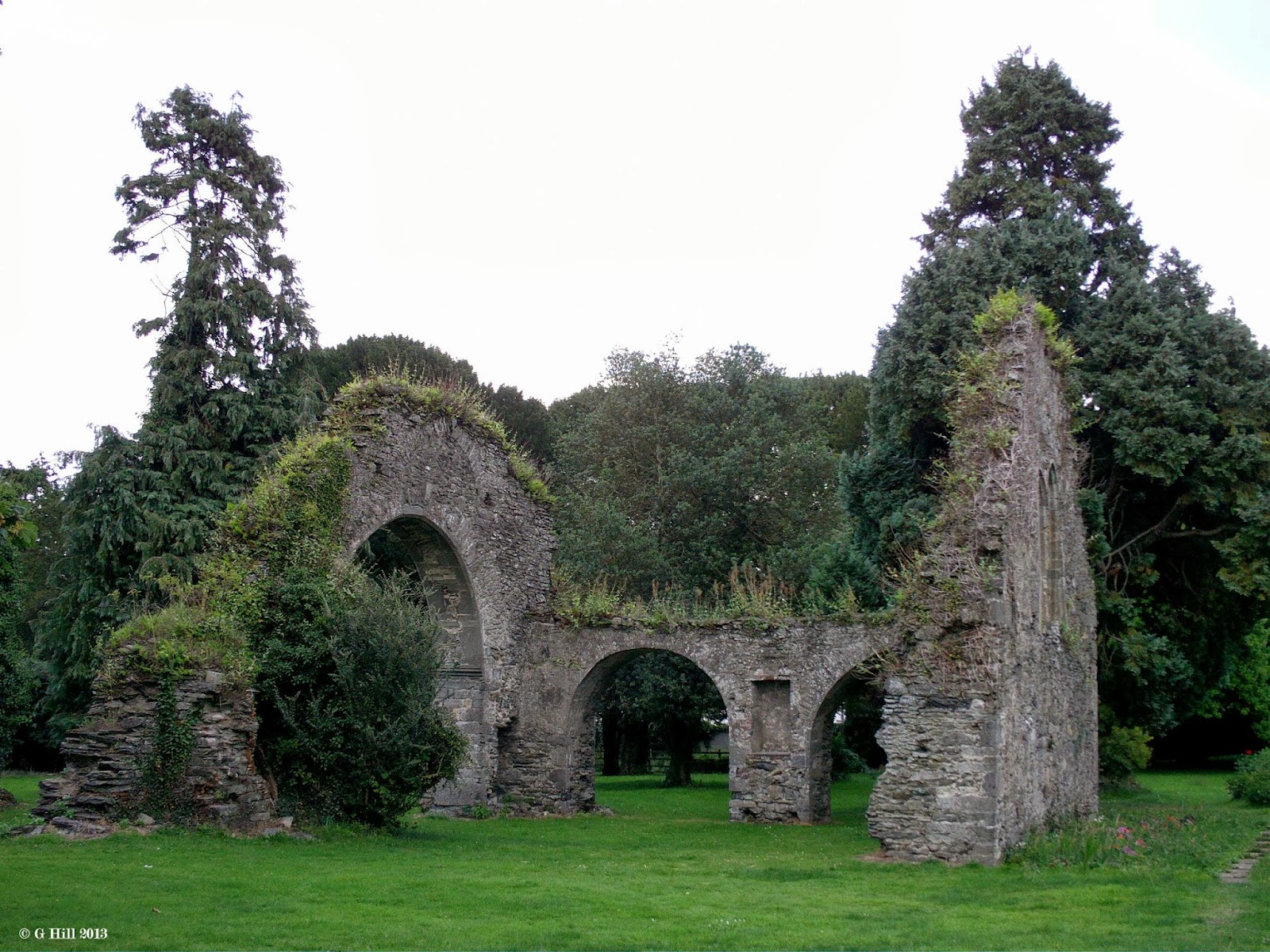 Ireland In Ruins: Wicklow Abbey Co Wicklow