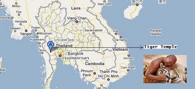 Tiger Temple in Kanchanaburi Thailand: Tiger Temple Thailand Location