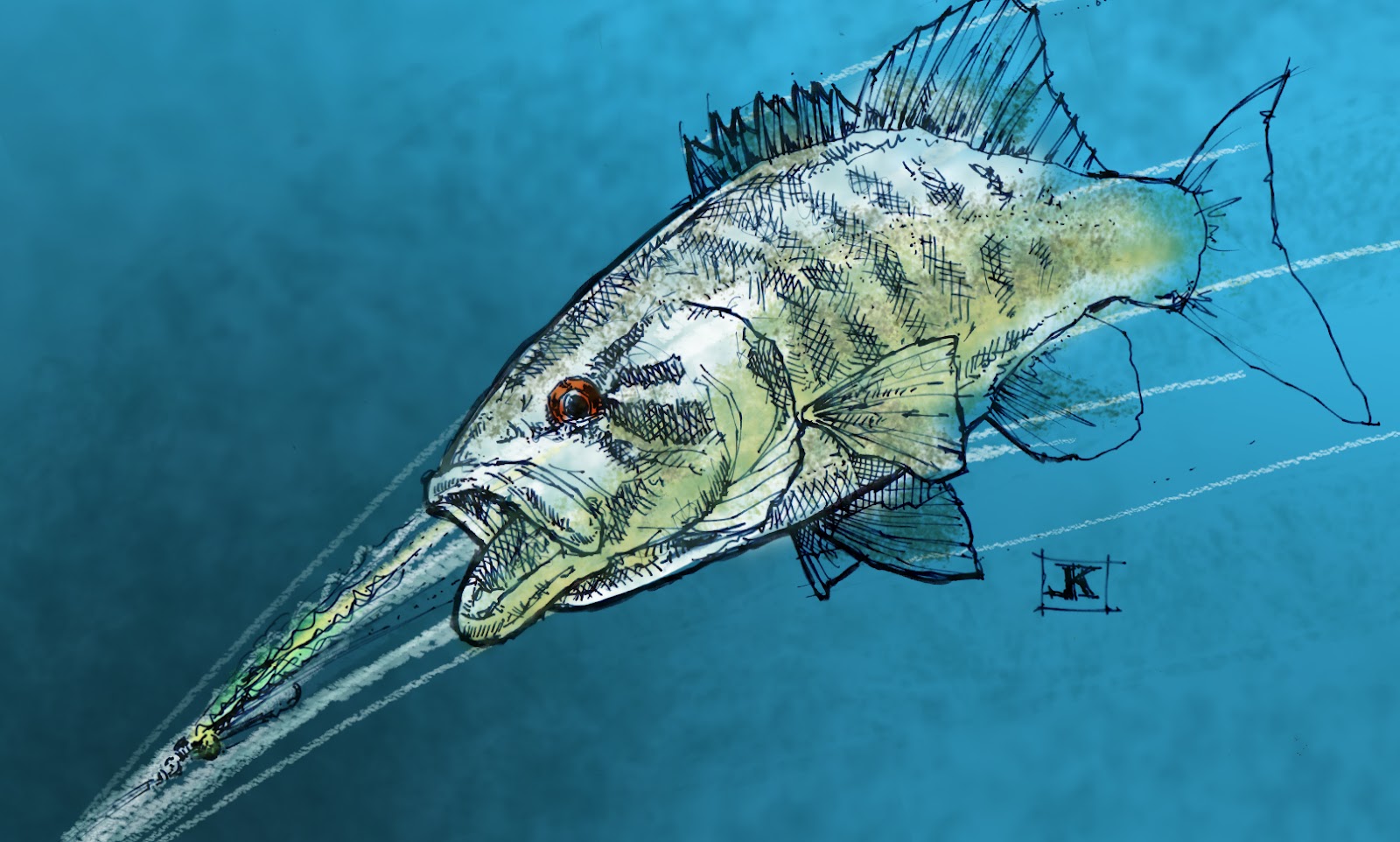 drawing flies 365: DF&F 52_40 Smallmouth Bass