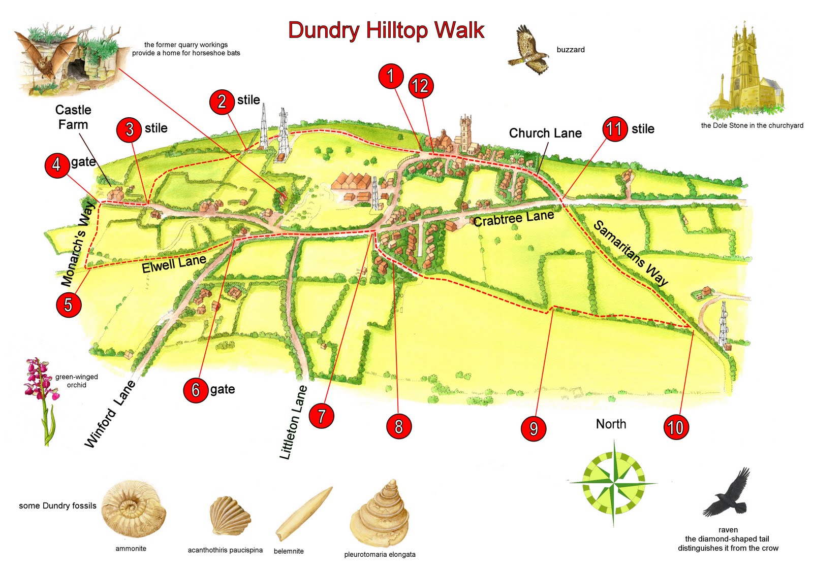 upside down in cloud: Dundry Hill