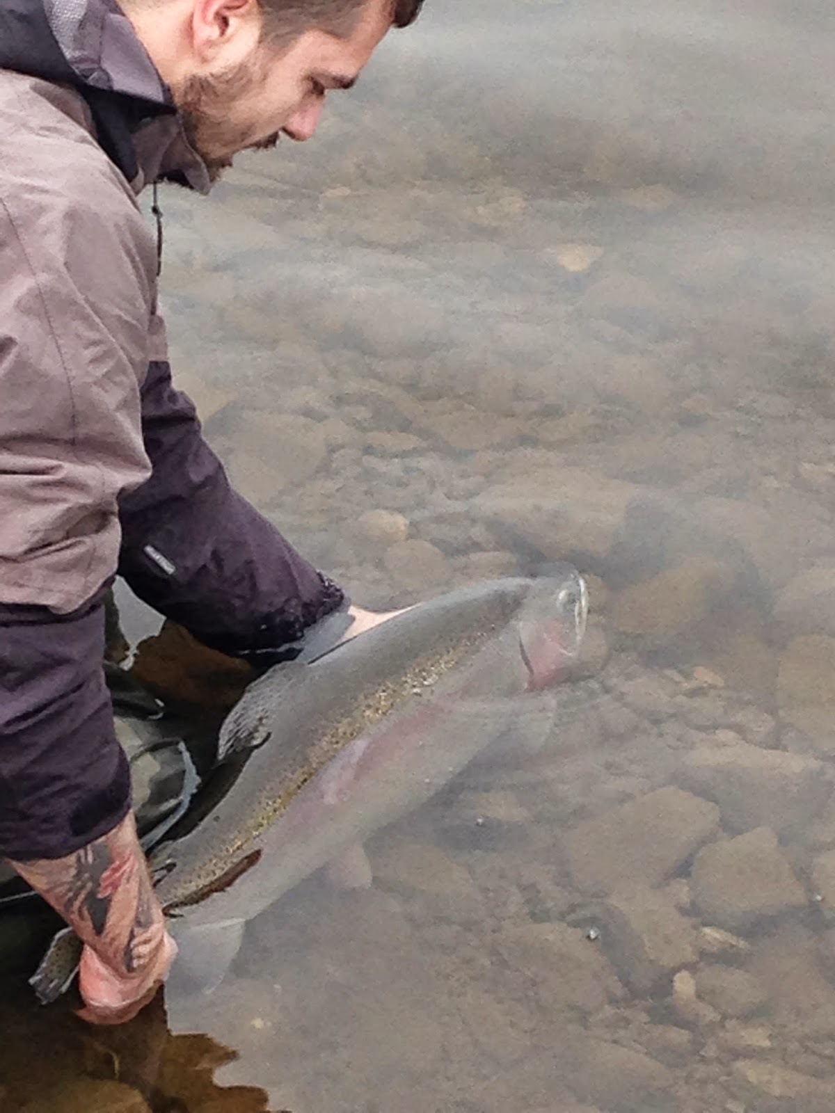 January 2015 Fish of the Month Entry - Woodburn Trout!