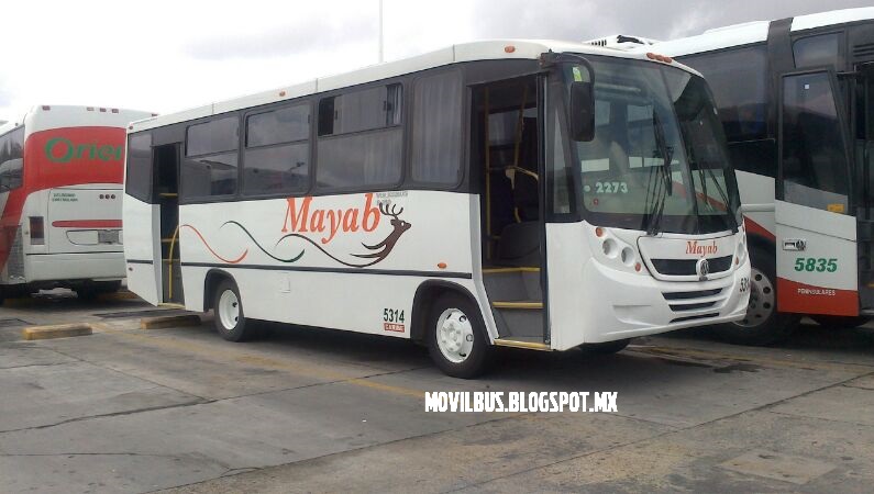 ¿Por que Mobility ADO compra midibuses y Vans para sus distintos servicios?