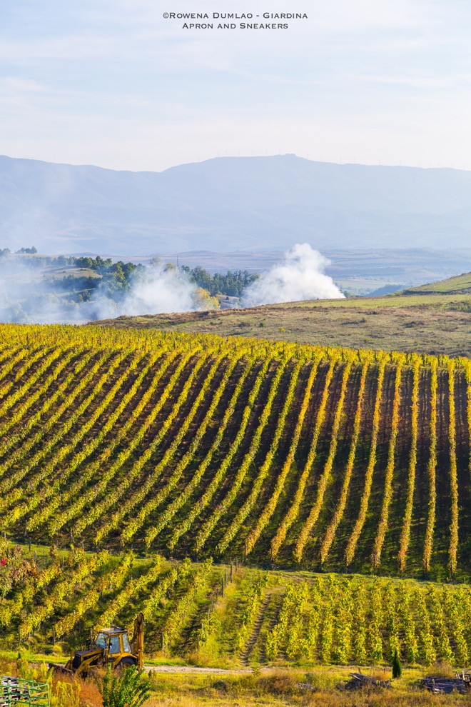 Villa Melnik in the Struma Valley: Wineries of Bulgaria (3 of 7)