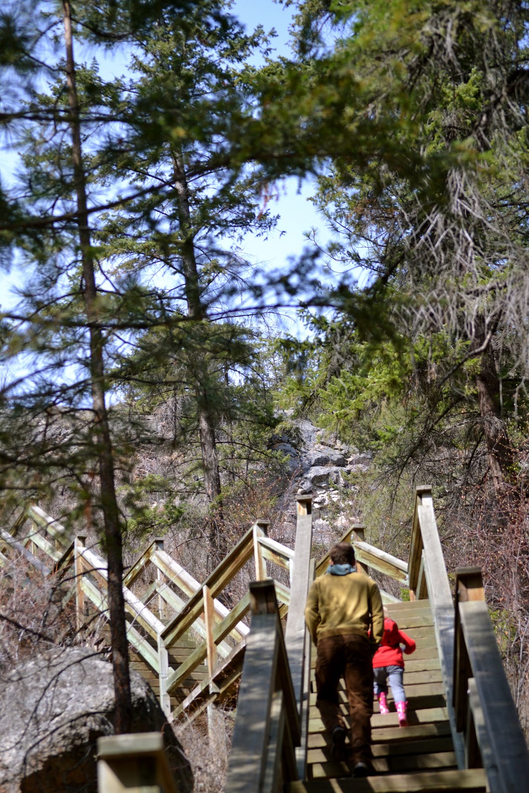 Not So Far Now: Fintry Provincial Park