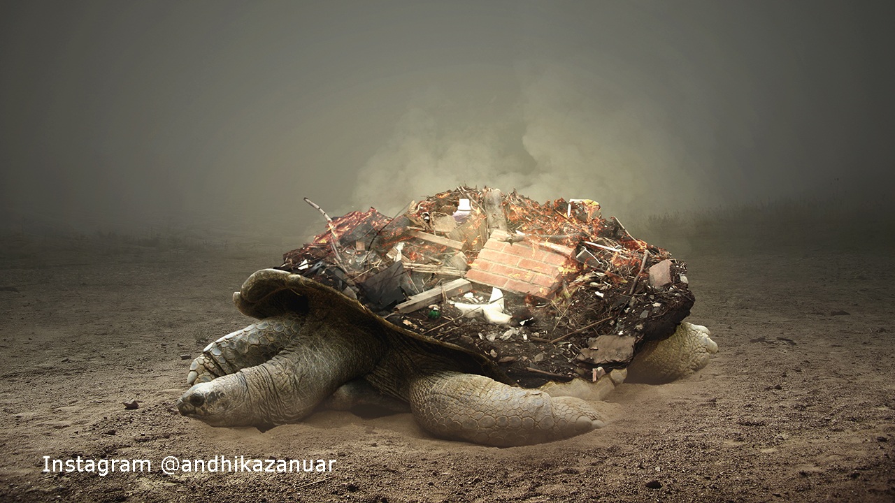 Photoshop CC Tutorial - Tortoise Wasted | Surreal Photo Manipulation ...