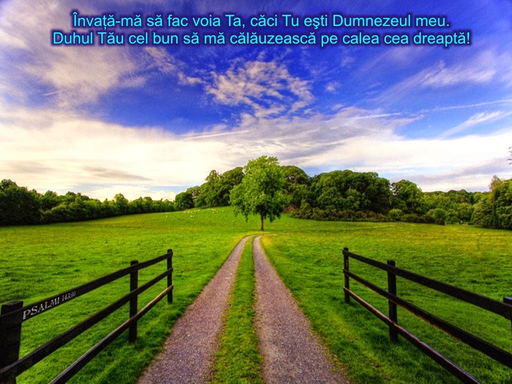 Poze cu mesaje frumoase ~ Poze rase de pisici apartament si casa ...