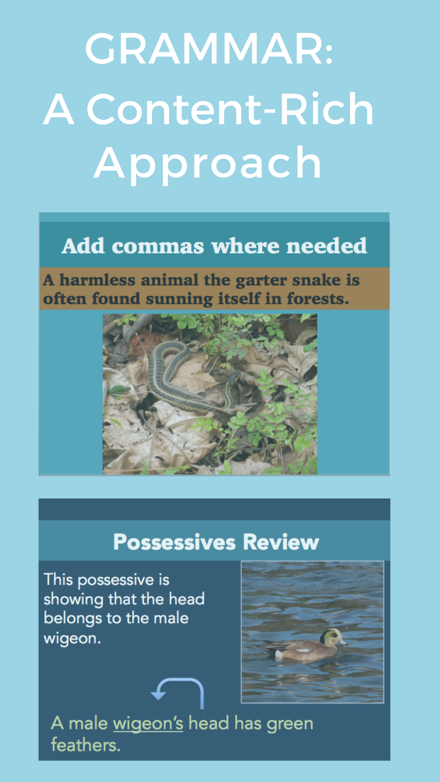 In My Classroom: The Forest and the Trees: Teaching Grammar: A Content ...