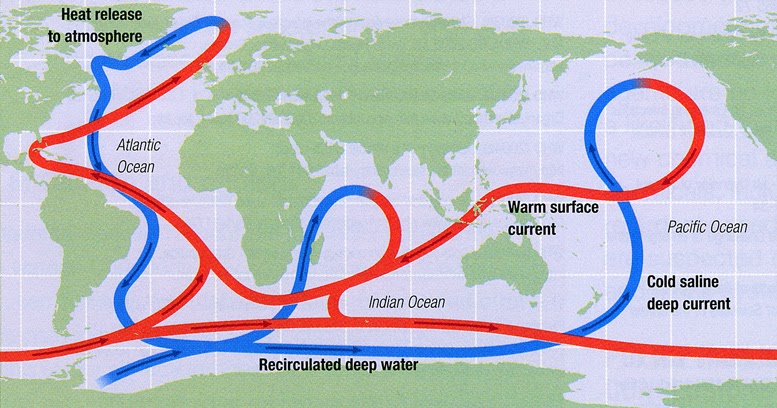 Terbentuknya Arus Termohalin | Gurugeografi.id