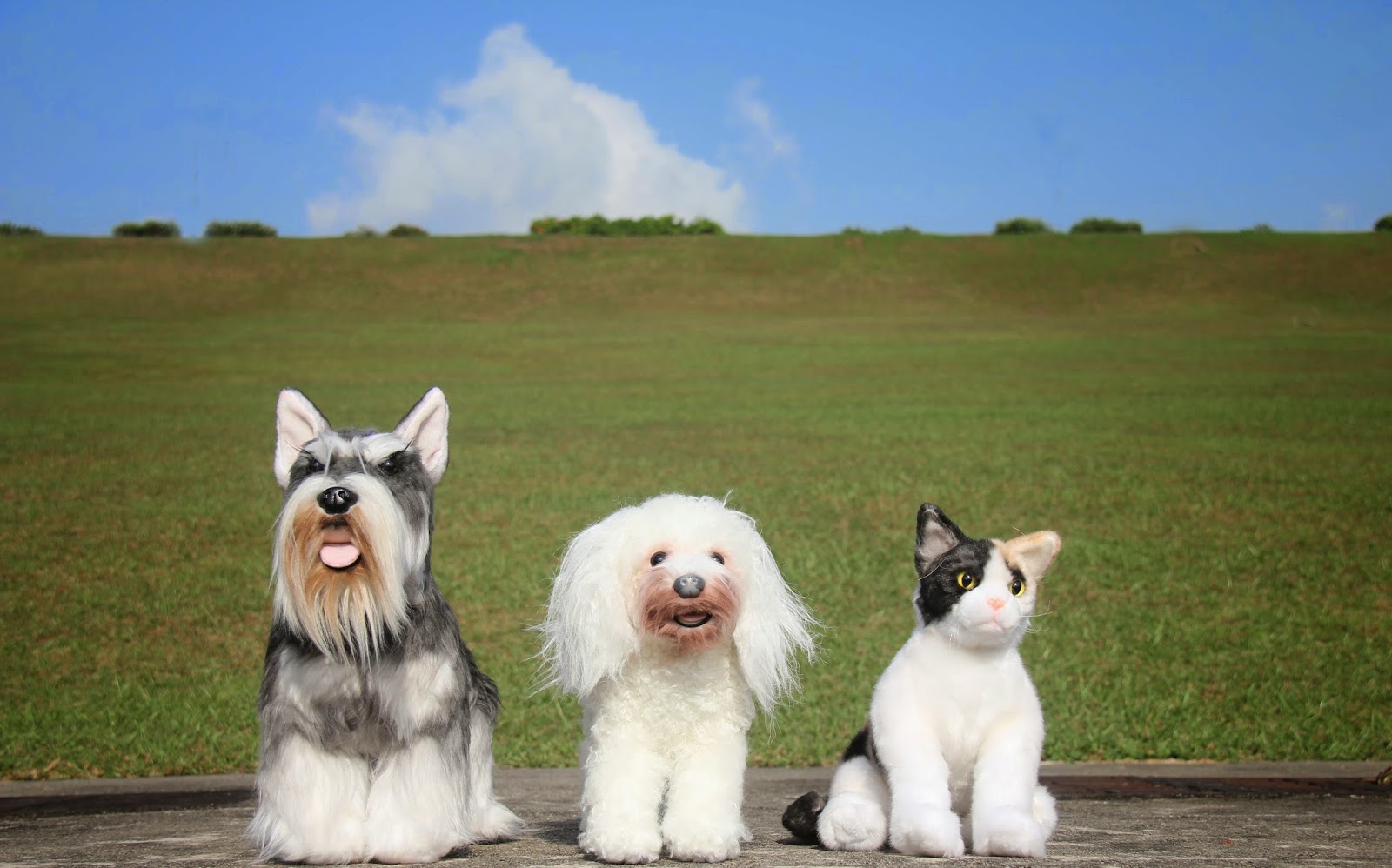 Natural PawPals: Cuddle Clones