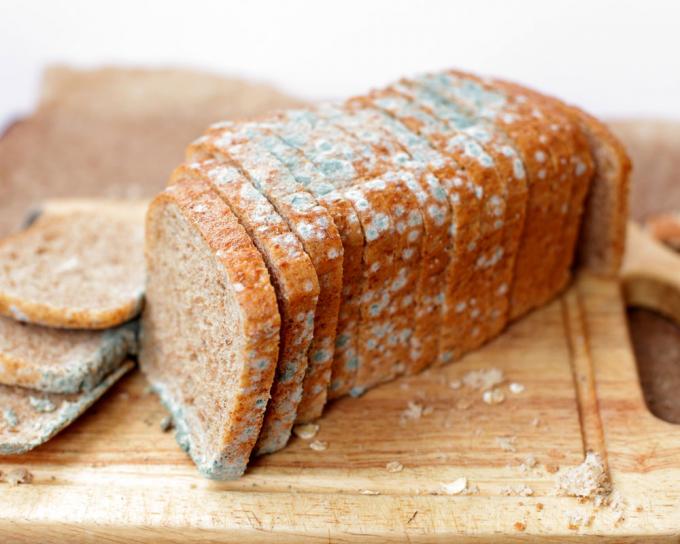 Alimentos con moho que puedes consumir | El HIT GUATE RADIO