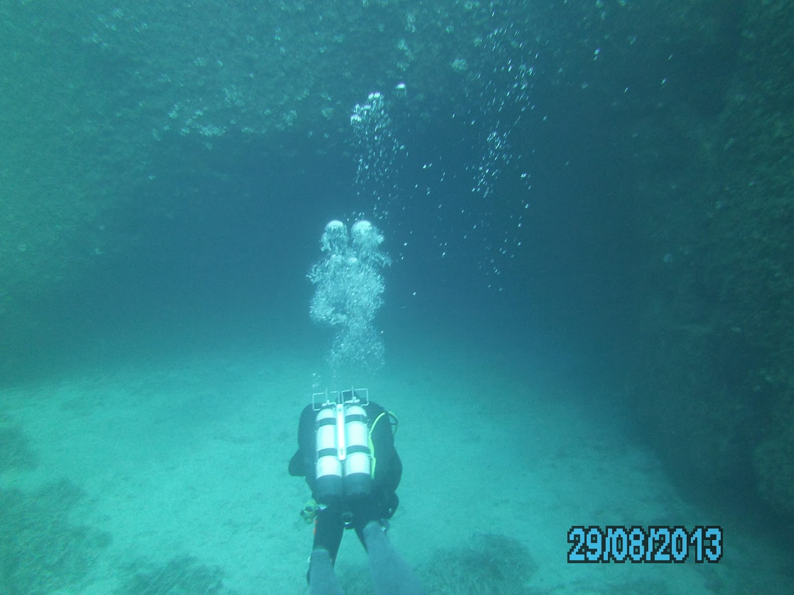 FreeShark : Avoid Problems Associated With Diving in Poor Visibility ...