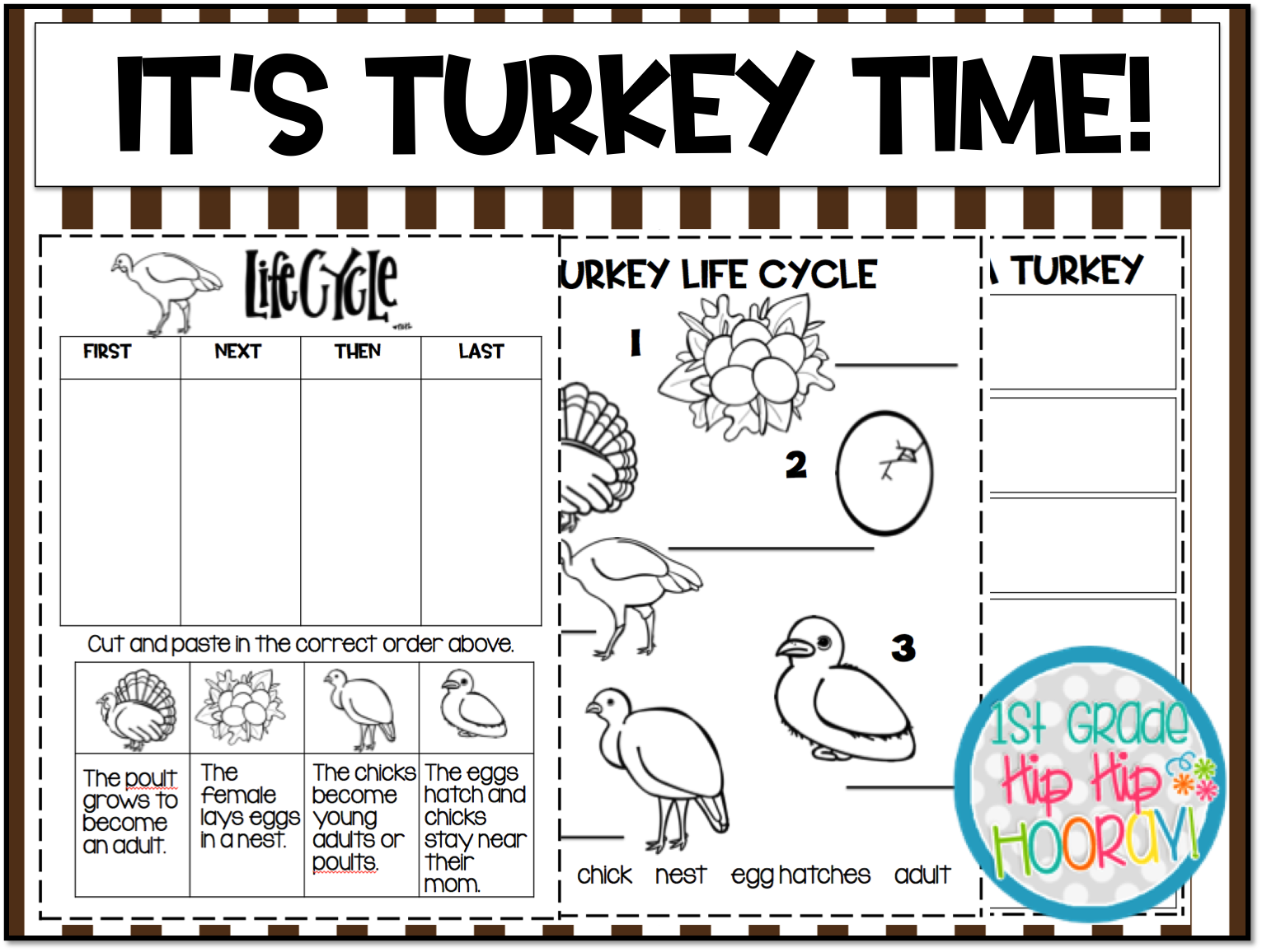 1st Grade Hip Hip Hooray!: It's turkey time so...let's talk turkey!